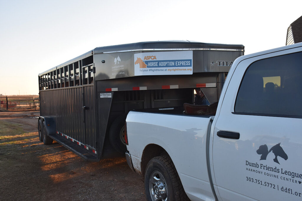 The ASPCA Horse Adoption Express - Horse Illustrated