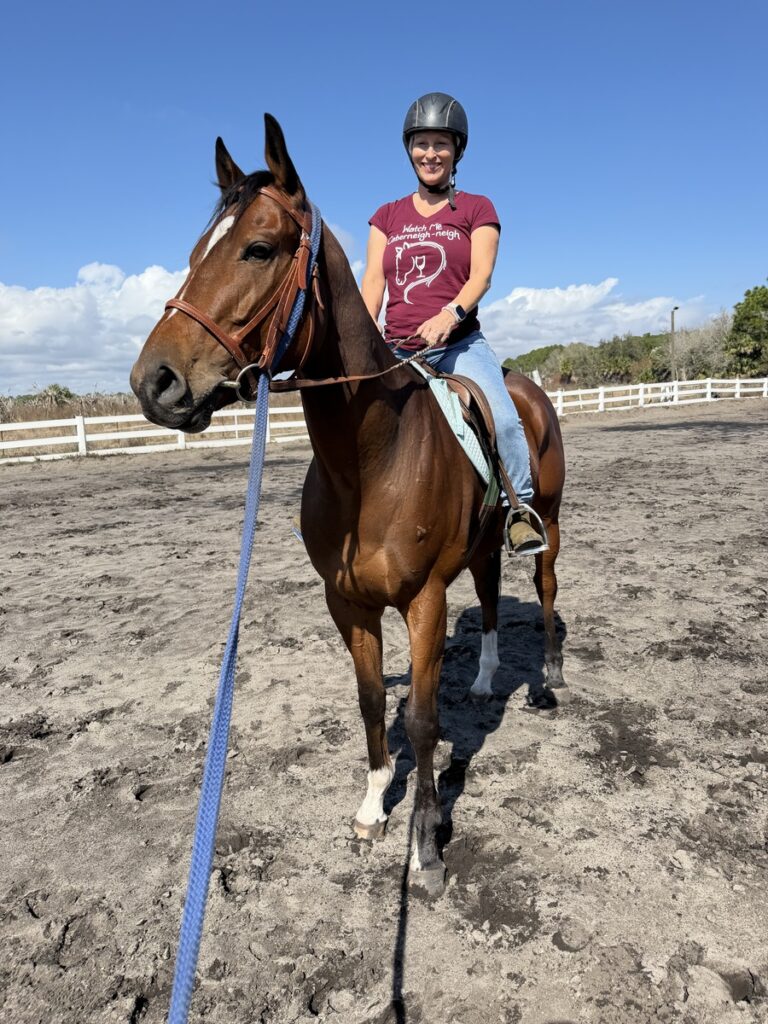 ASPCA Right Horse Adoptable Horse of the Week: Lil Bit Sideways