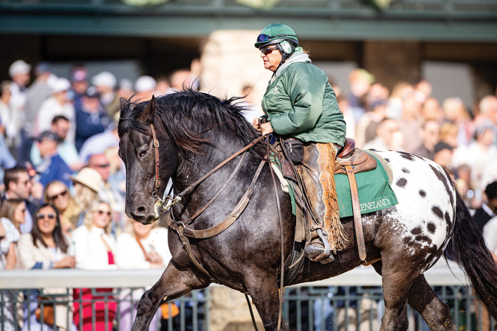 Breed Portrait: American Sugarbush Harlequin Draft Horse