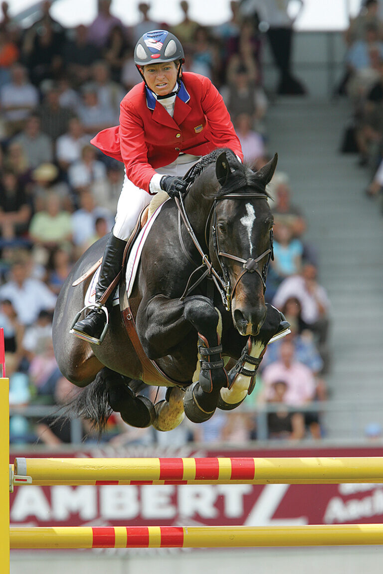 KWPN: The Dutch Warmblood Horse Registry - Horse Illustrated
