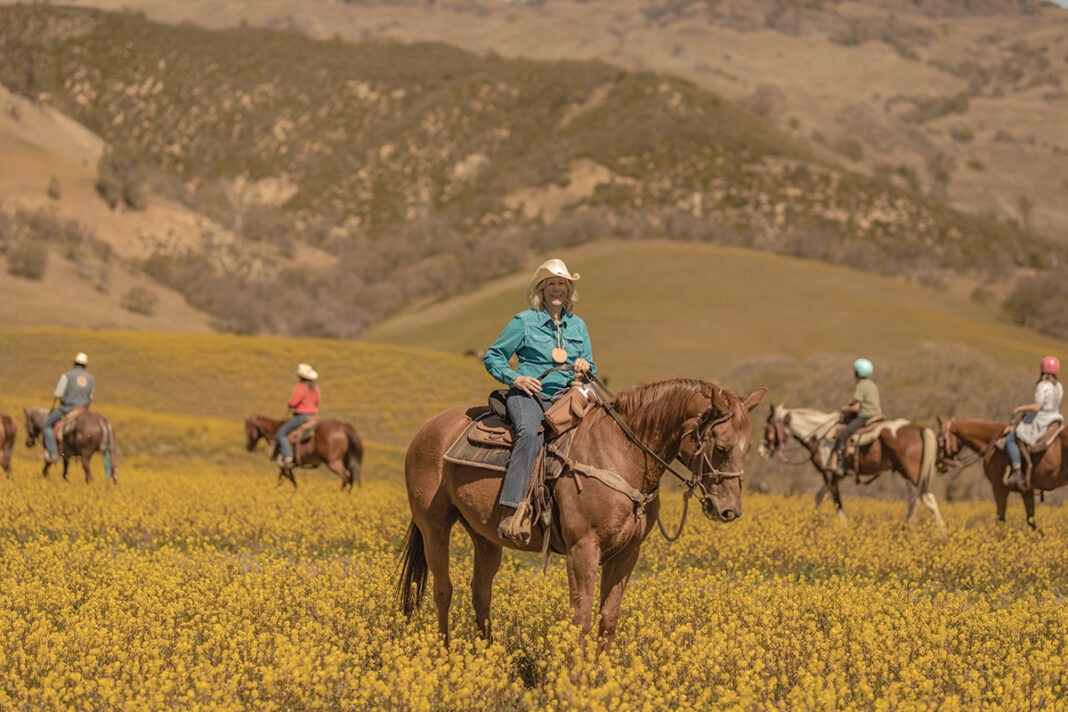 Visit the V6 Ranch - Horse Illustrated