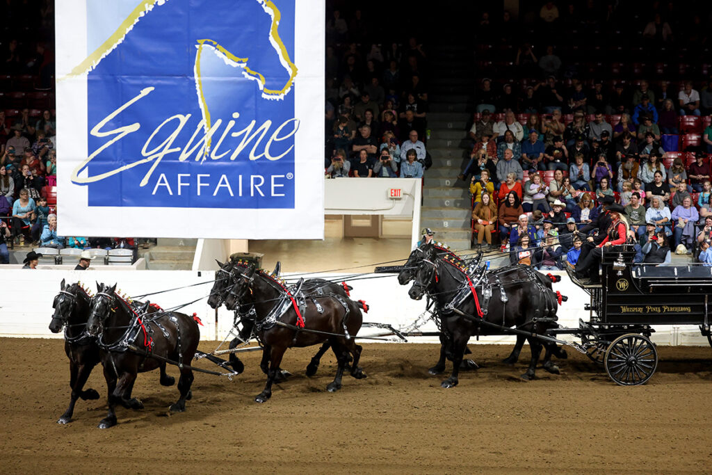 Whispery Pines Percherons: A Family Affair - Horse Illustrated
