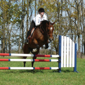 Changing Riding Disciplines: English to Western - Horse Illustrated