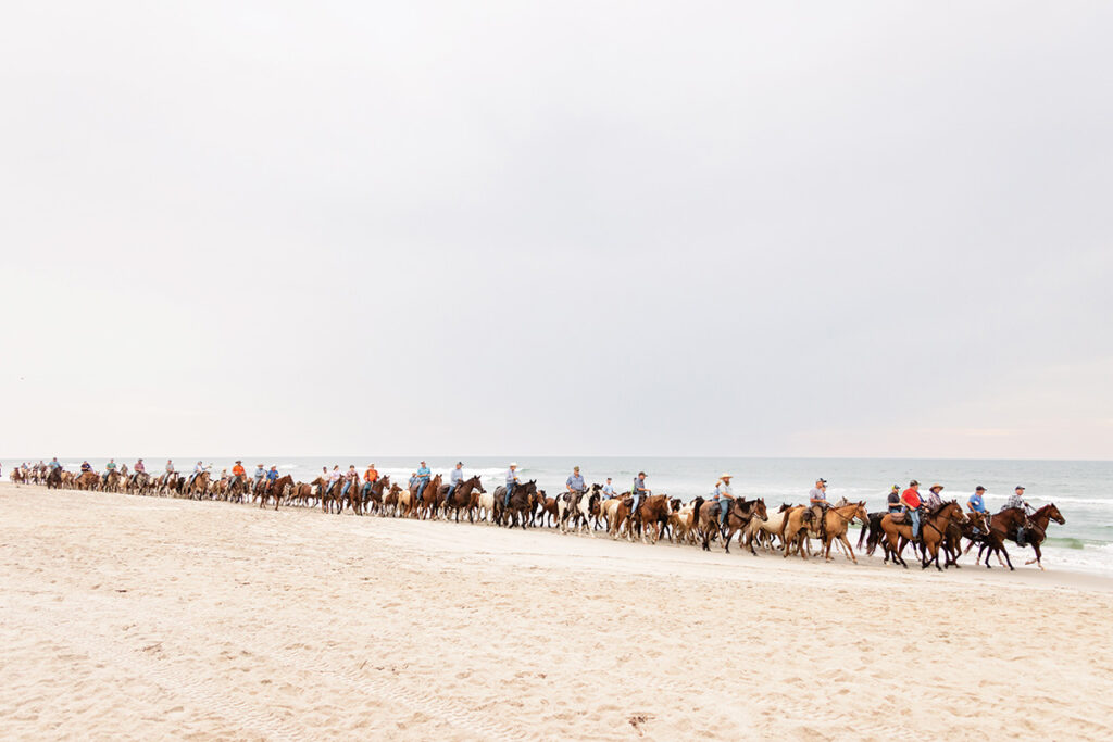 The Chincoteague Pony Swim - Horse Illustrated