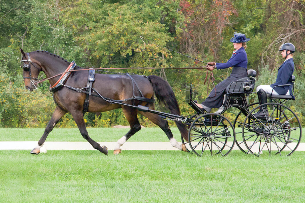 What is Combined Driving? - Horse Illustrated