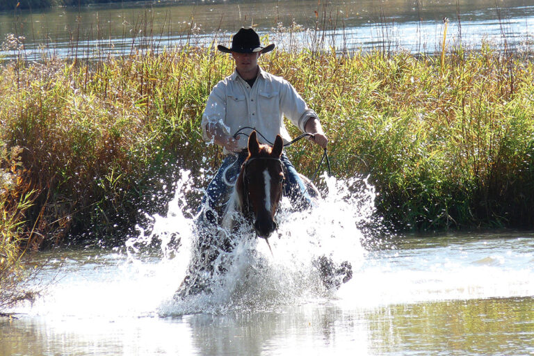 The Ins and Outs of 4 Types of Western Reins