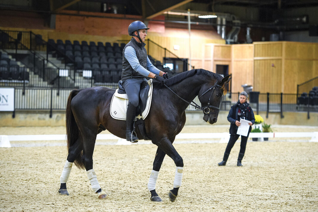 Try a Dressage Ride a Test Clinic - Horse Illustrated