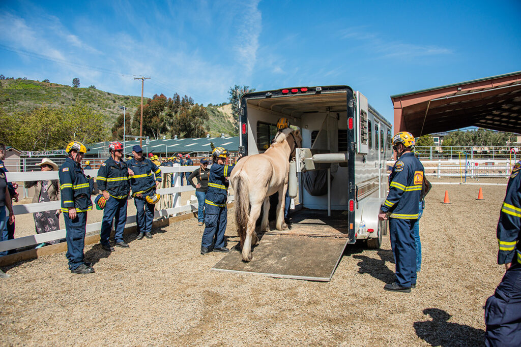 Shea Center Hosts Firefighters for Annual Equine Rescue Training