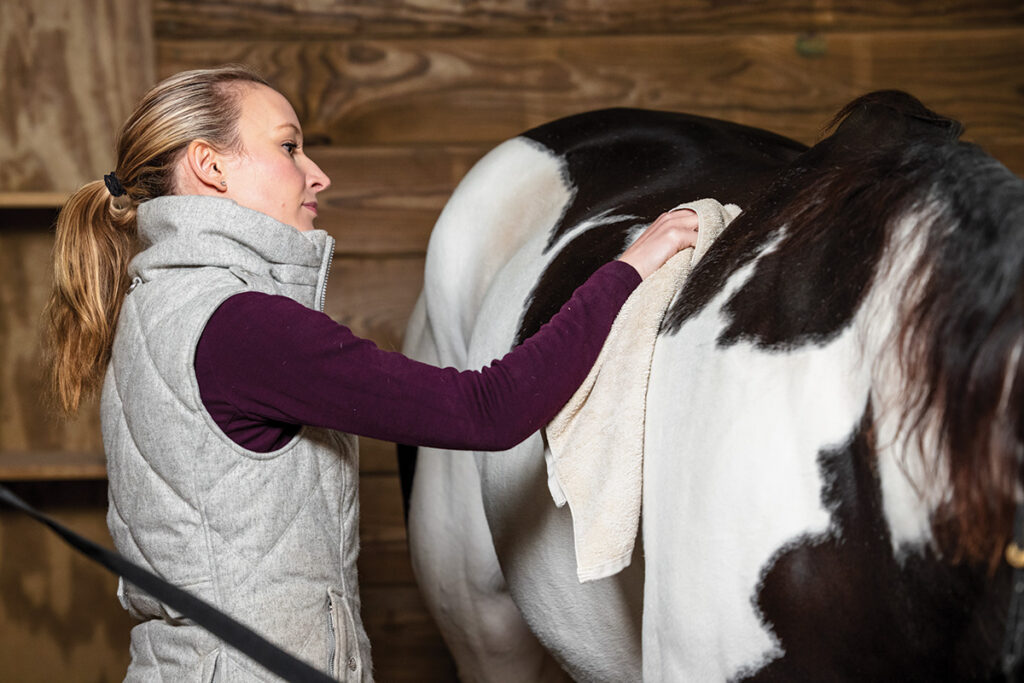 10 Horse Grooming Hacks - Horse Illustrated
