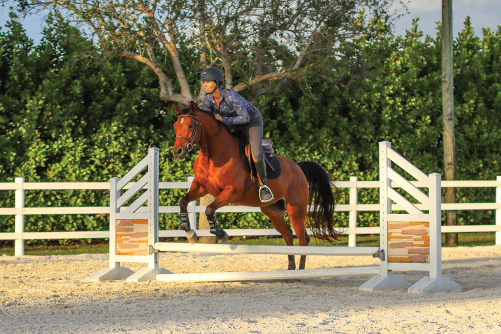 How to Train a Horse That's Rushing Jumps - Horse Illustrated