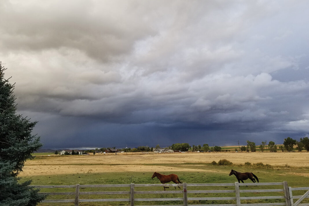 Horses in a Storm: How to Stay Safe - Horse Illustrated