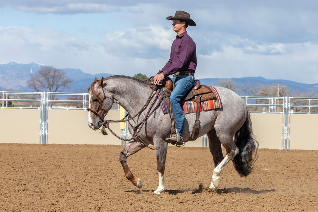 Ranch Riding Trail Warmup for Any Horse - Horse Illustrated