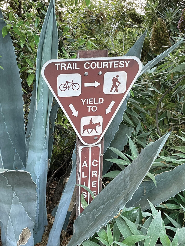 Riding Horses on Multi-Use Trails - Horse Illustrated