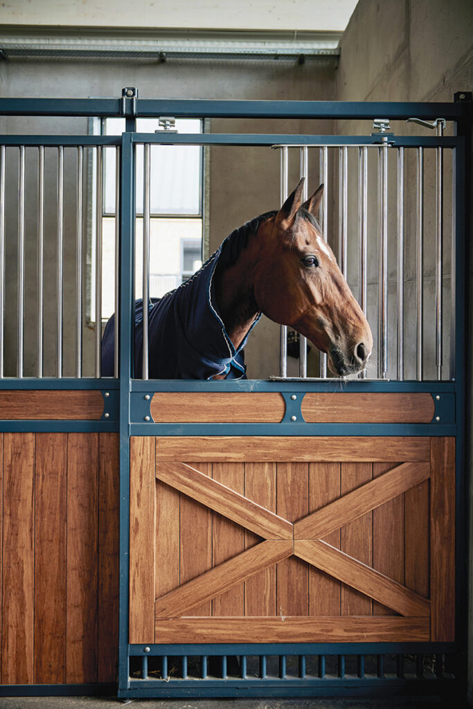 Solutions for Stall Boredom - Horse Illustrated