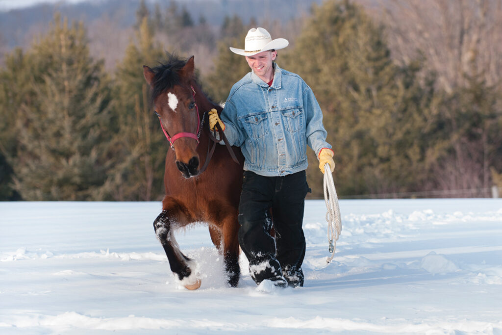 Winter Equestrian Activities - Horse Illustrated