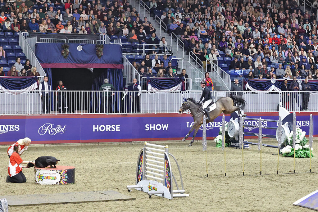 2024 Royal Agricultural Winter Fair Recap - Horse Illustrated