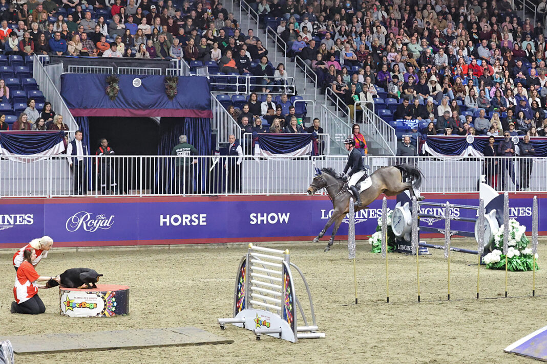 2024 Royal Agricultural Winter Fair Recap - Horse Illustrated