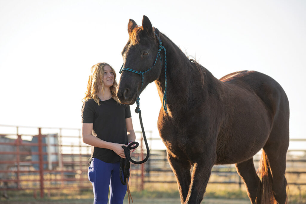 The ASPCA Equine Transition and Adoption Center