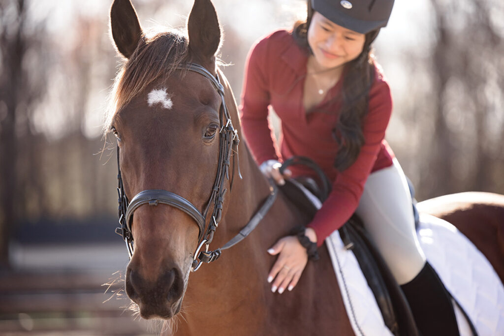 The ASPCA Horse Adoption Express - Horse Illustrated