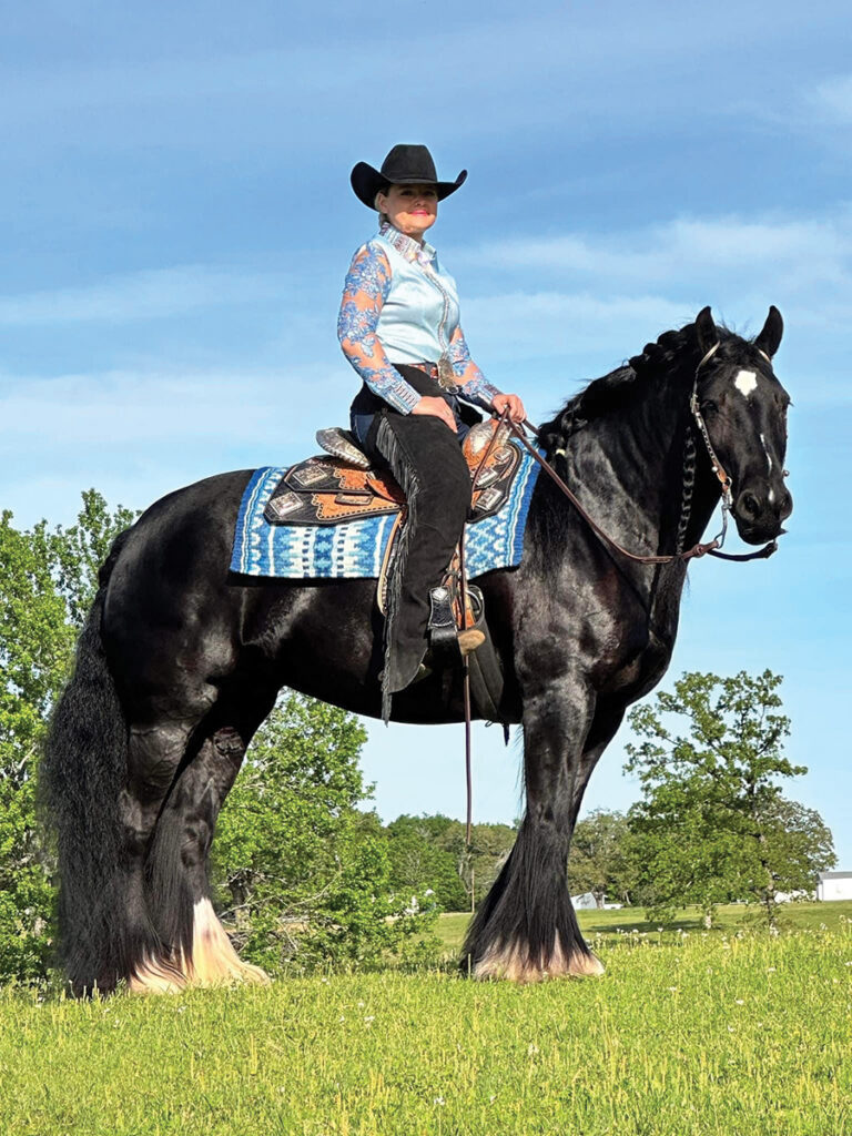 Breed Portrait: Gypsy Vanner - Horse Illustrated