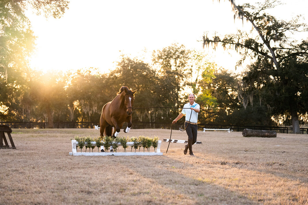 Meet Tik Maynard - Horse Illustrated