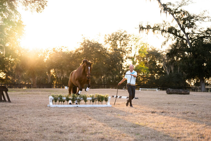 Meet Tik Maynard - Horse Illustrated