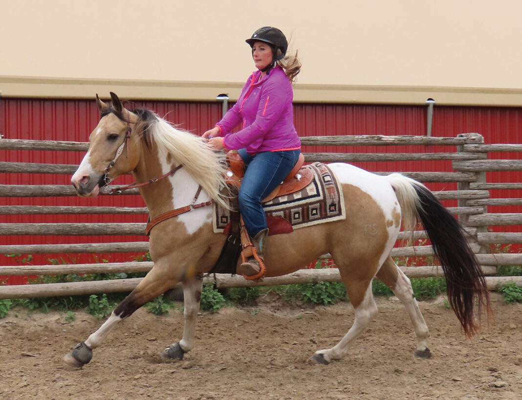 Changing Riding Disciplines: English to Western - Horse Illustrated