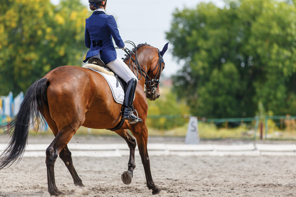 Parelli Natural Horsemanship: Circling Game - Horse Illustrated