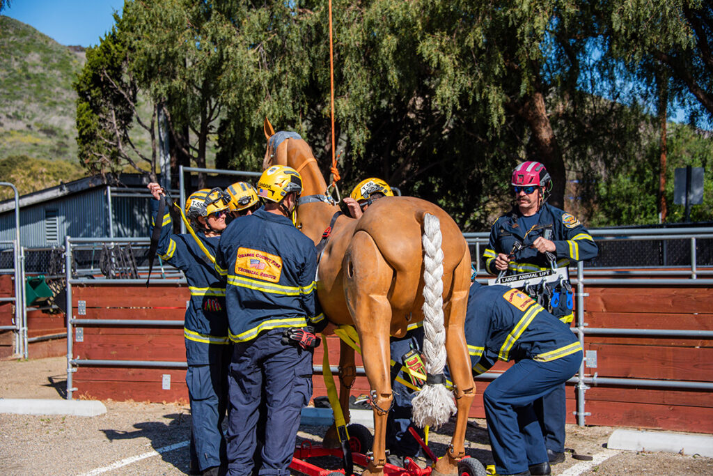 Shea Center Hosts Firefighters for Annual Equine Rescue Training