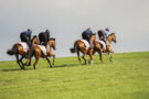 Gearing Up for Galloping - Horse Illustrated