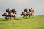 Gearing Up for Galloping - Horse Illustrated