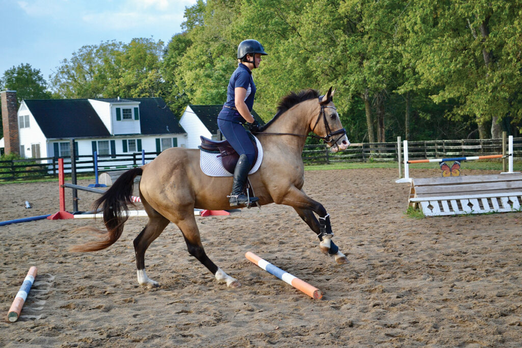Using Ground Poles in Your Horse's Training - Horse Illustrated