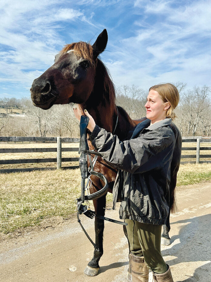 How to Bridle a Horse That Evades the Bridle - Horse Illustrated