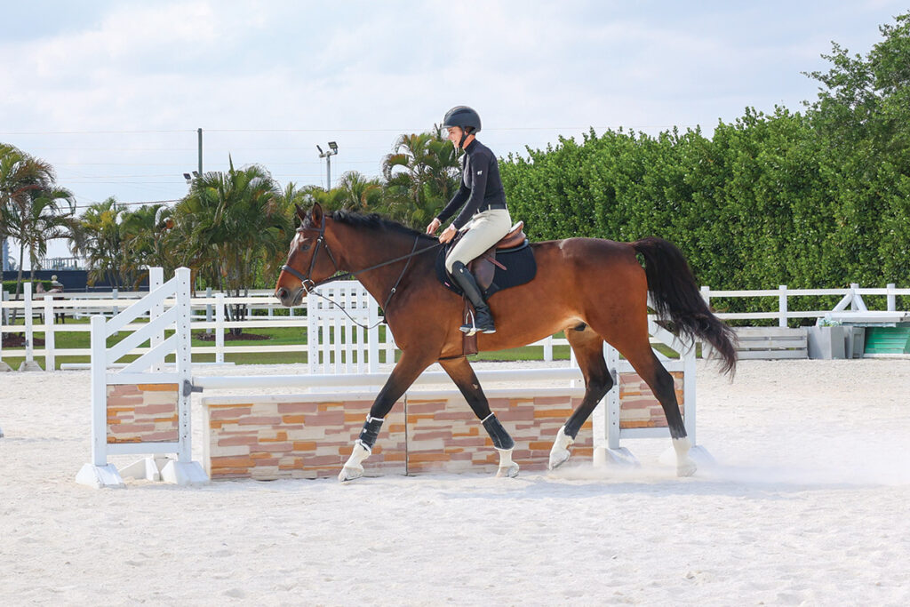 Solutions for a Horse Stopping at Jumps - Horse Illustrated