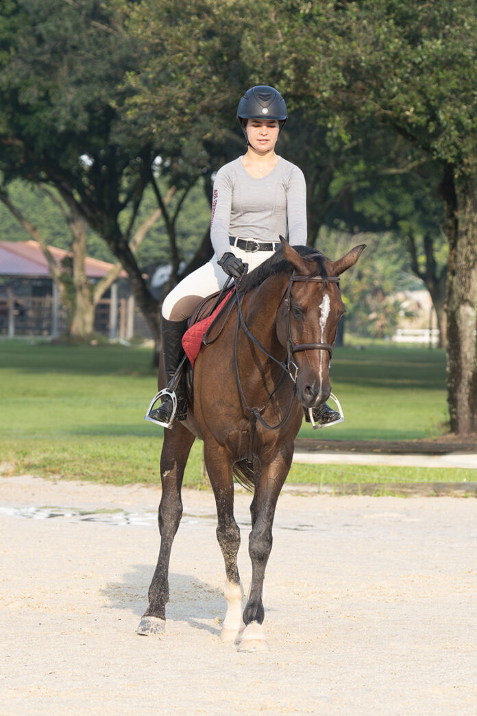 How to Improve a Lazy Horse's Responsiveness - Horse Illustrated