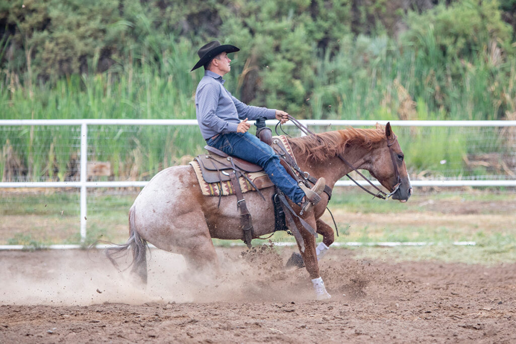 Reining and Cow Horse Stops: What's the Difference?