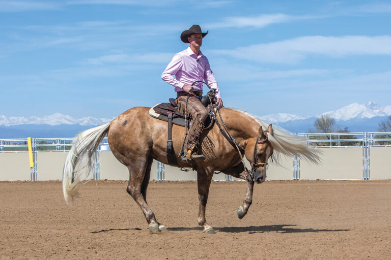 Master Your Reining Spins - Horse Illustrated