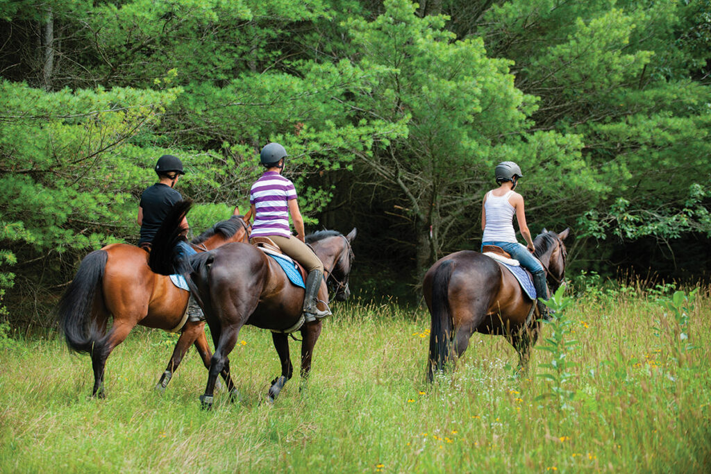 Riding Horses on Multi-Use Trails - Horse Illustrated