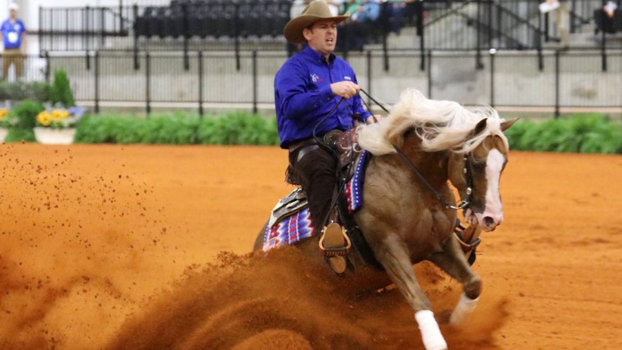 Nrha Reining Patterns 2009