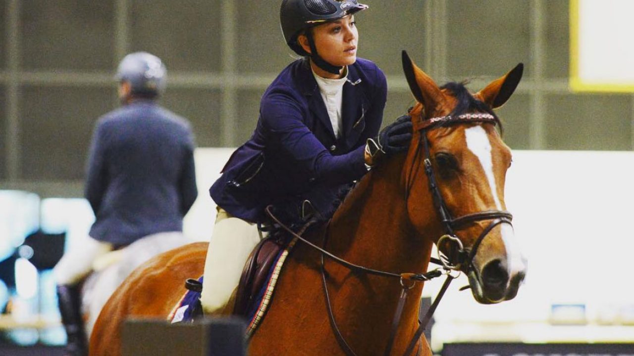 Famous Hunter Horses