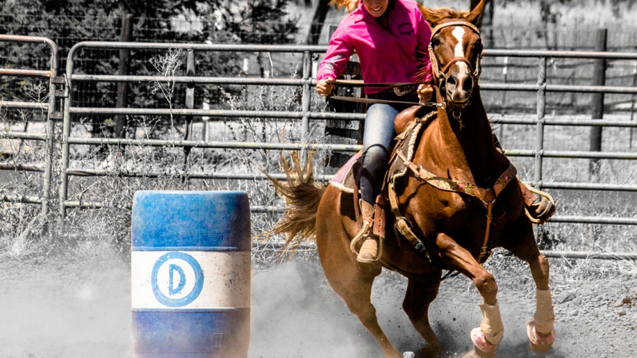 Barrel Racing Pictures