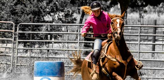 A Weekly Barrel Racing Workout is in the Can - Horse Illustrated