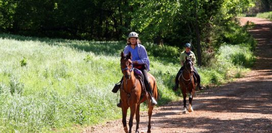 The Tevis Cup: A Race Like No Other - Horse Illustrated