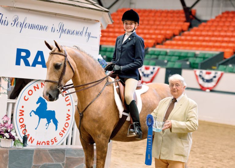 The Morgan Horse - Horse Illustrated