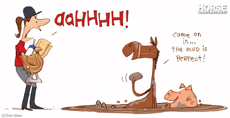 Horse In Mud Clip Art