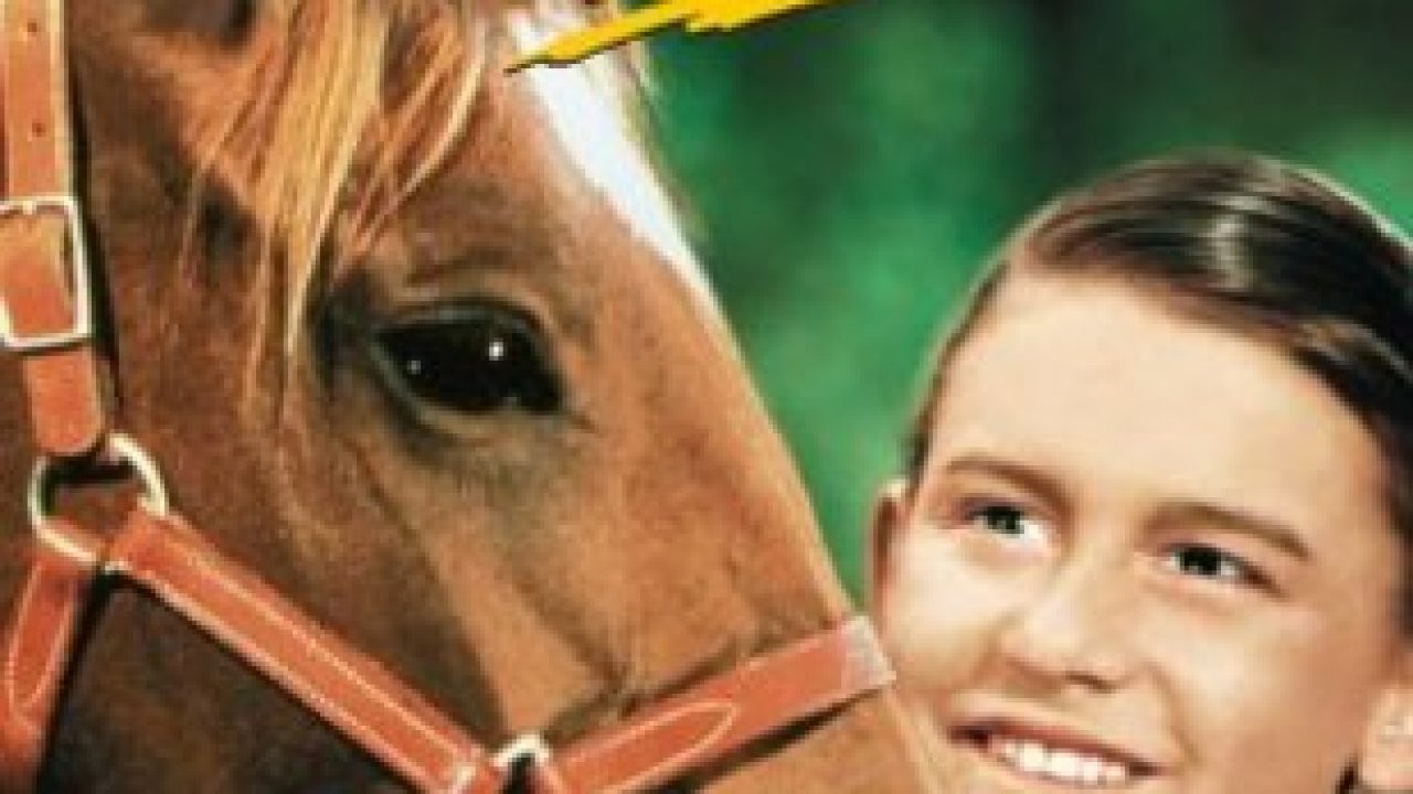 Flicka The Horse Movie