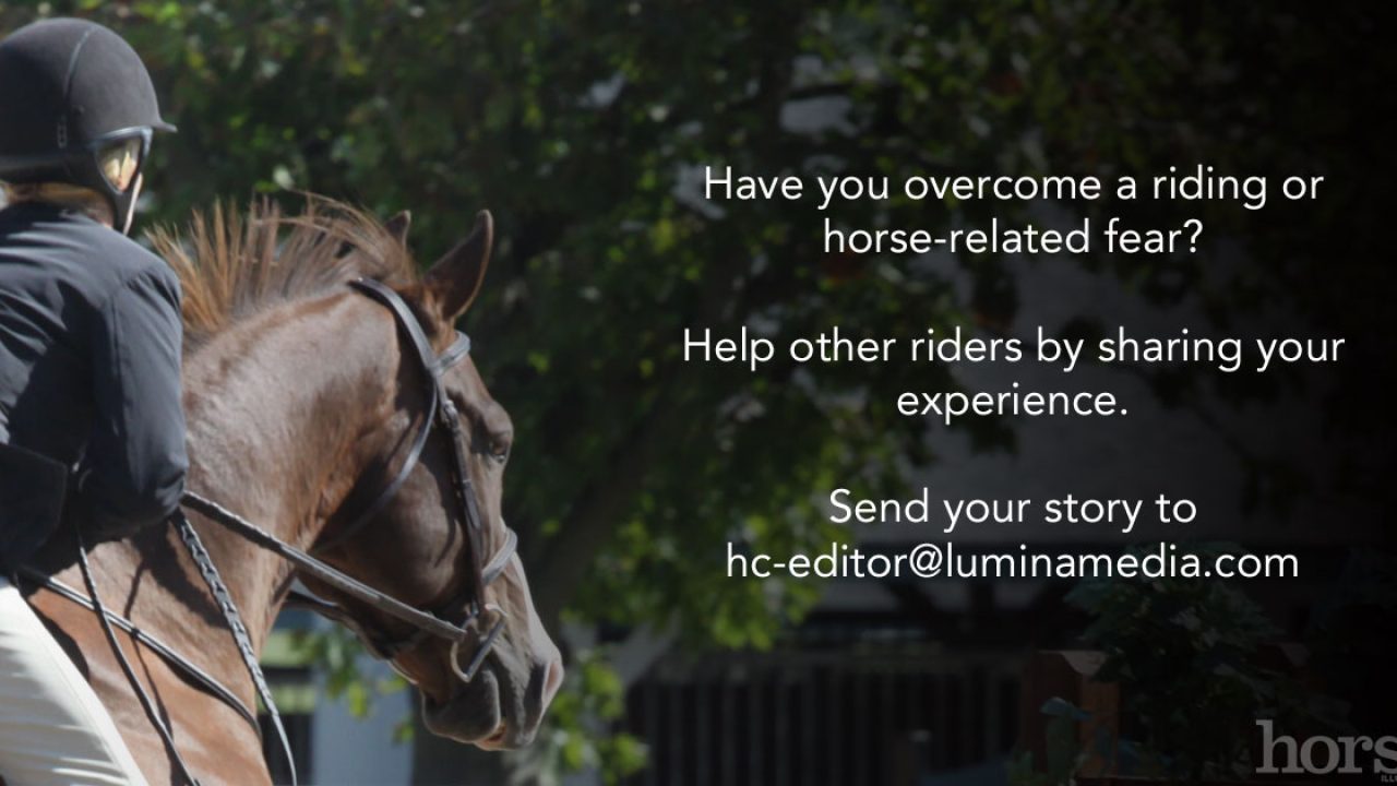 English Horse Riding Quotes