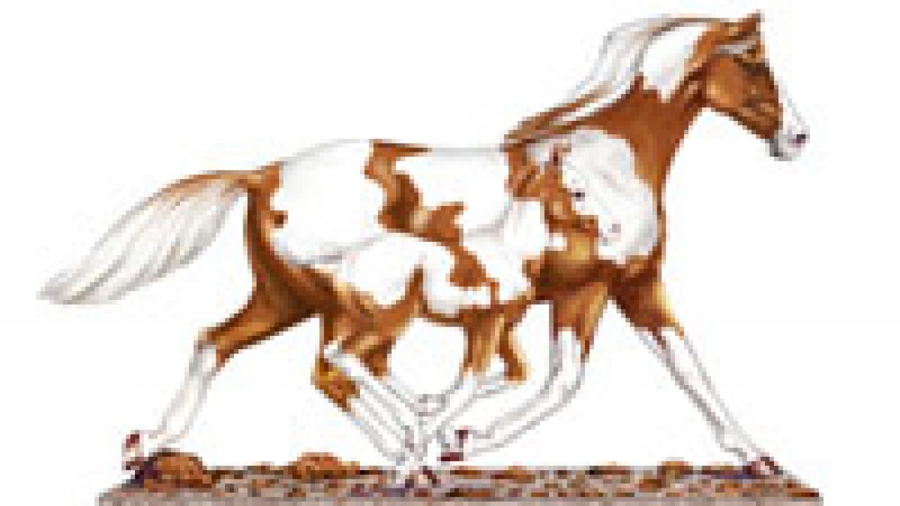 Pony Paint Horse