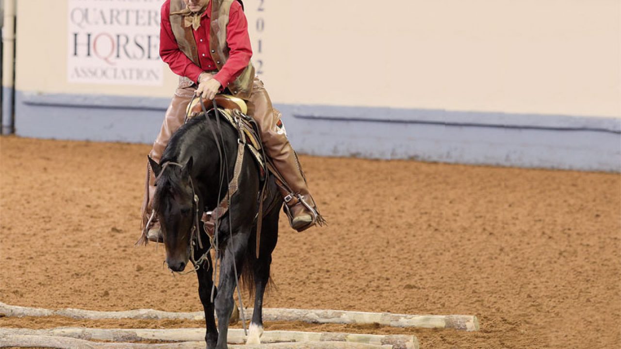Ranch Horse Pleasure