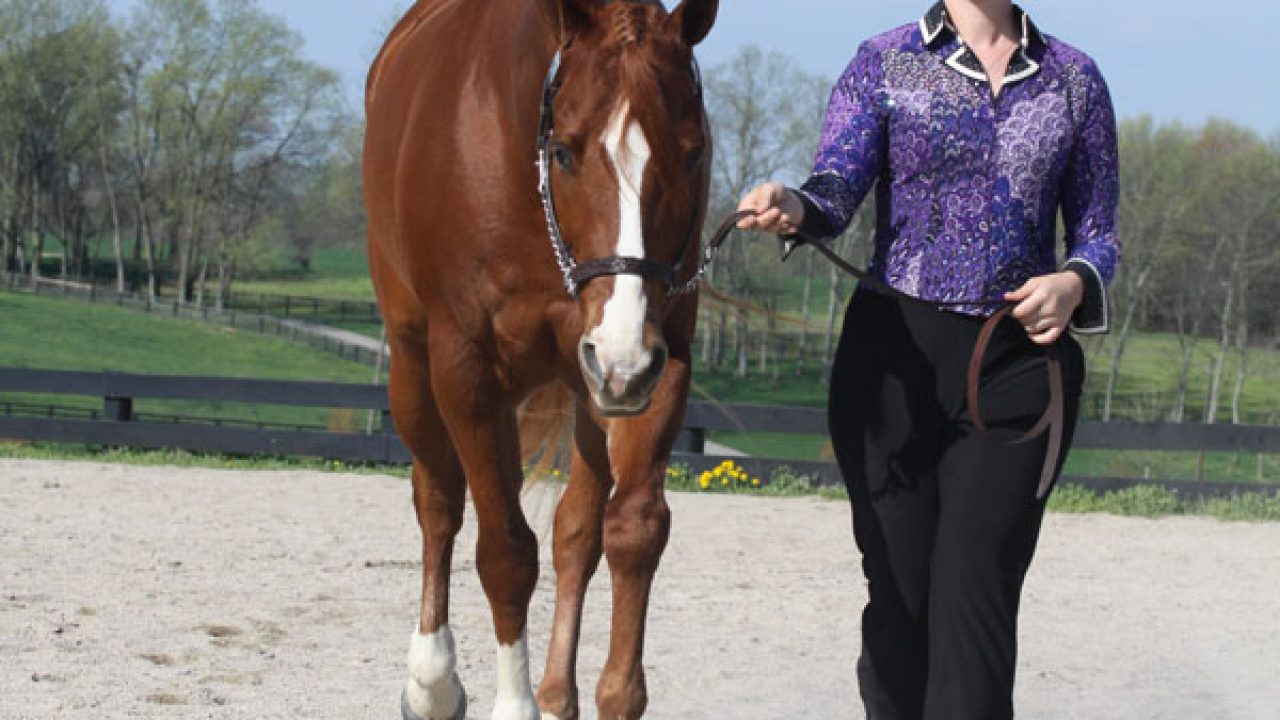 Jeff Greaves's Instagram, Twitter & Facebook on IDCrawl